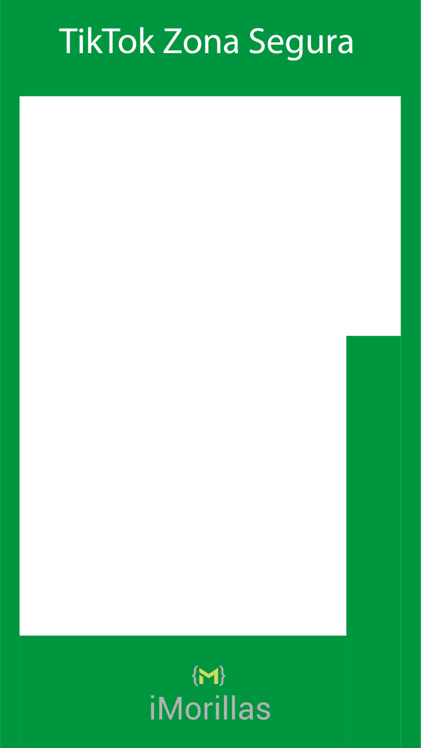 Zona Segura en Stories y Reels - Dimensiones para Instagram - imorillas ...